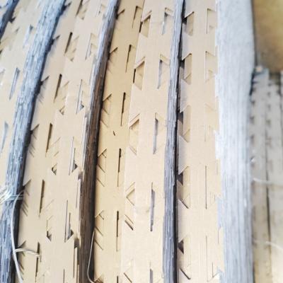 Cina Anti-scalato caldo immerso Galvanizzato Concertina filo spinato per recinzione bobina rasoio in vendita