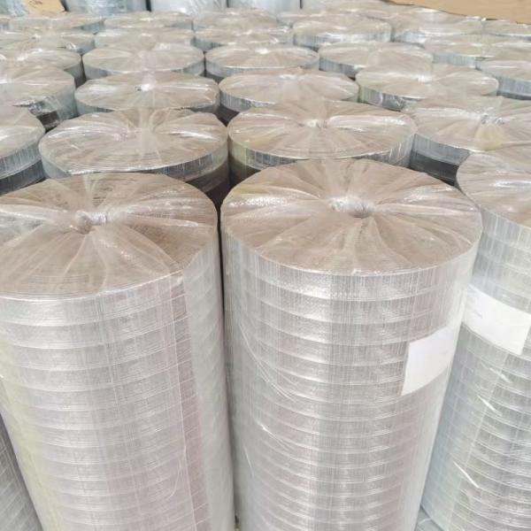 Quality Protective Net Smooth Surfacestainless Steel Welded Wire Mesh Rolls BWG21 For for sale
