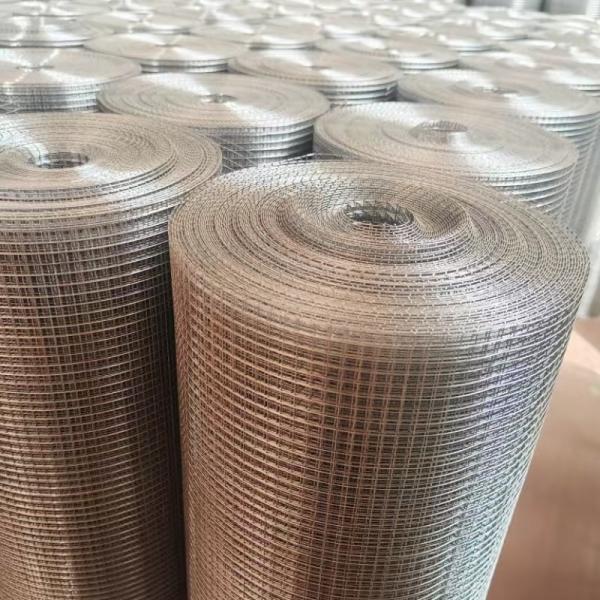 Quality Protective Net Smooth Surfacestainless Steel Welded Wire Mesh Rolls BWG21 For for sale