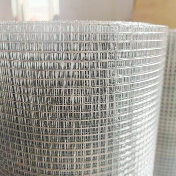 Quality Protective Net Smooth Surfacestainless Steel Welded Wire Mesh Rolls BWG21 For for sale
