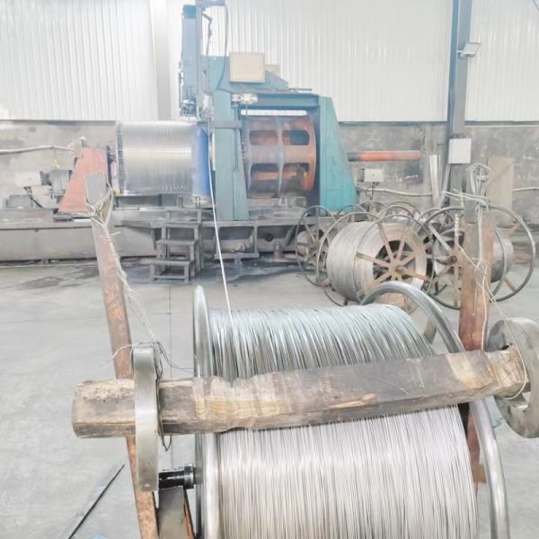 Quality Durable Screen Sieve Plate SS Wedge Wire Filter Screen Max 6m Slotted Hole for sale