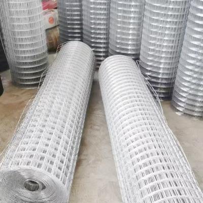 Cina 304 Protezione Ss Welded Wire Mesh Plain Weave per varie applicazioni in vendita