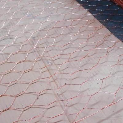 China 1/2-2 Inch PVC gecoat zeshoekig gaas voor krabbenval, kreeftenval, visval Te koop