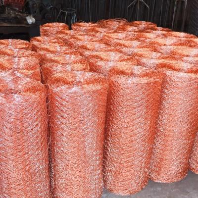 China 1/2-2 Inch PVC gecoat zeshoekig gaas voor krabbenval, kreeftenval, visval Te koop