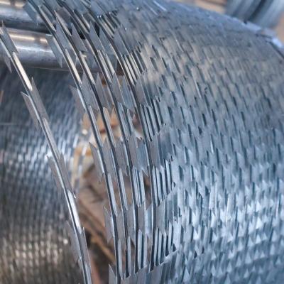 Cina Galvanizzato 550mm 600mm Flat Security Fencing Razor Wire Concertina Barbed Wire Fencing in vendita