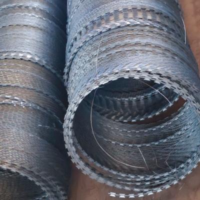 Cina Galvanizzato 550mm 600mm Flat Security Fencing Razor Wire Concertina Barbed Wire Fencing in vendita