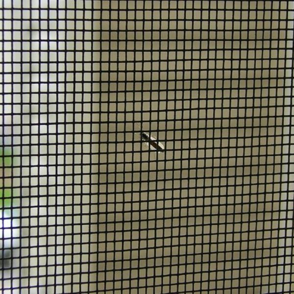 Quality 18x18 Mosquito Net Fiberglass Window Door Insect Screen Mesh Roll Anti Rust for sale