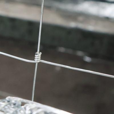 Cina Recinzione in rete metallica zincata per pascoli da 10m-30m per pecore, campi, allevamenti di cervi in vendita