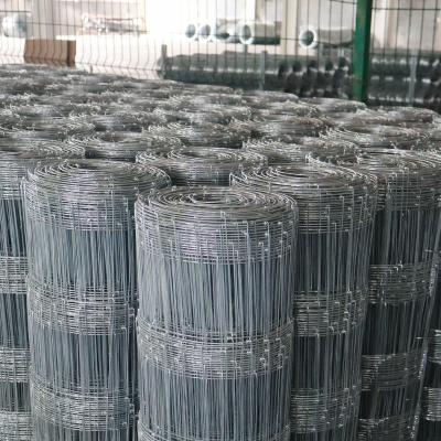 China Cattle Field Fence Galvanized Wire For Grassland Farm Fencing Wire Mesh for sale