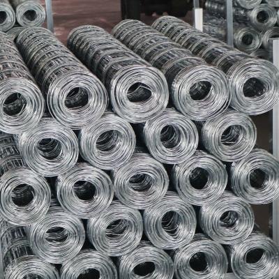 China Cercas de campo de gado Galvanizado fio para pastagem de fazenda Cercas de fio de rede à venda