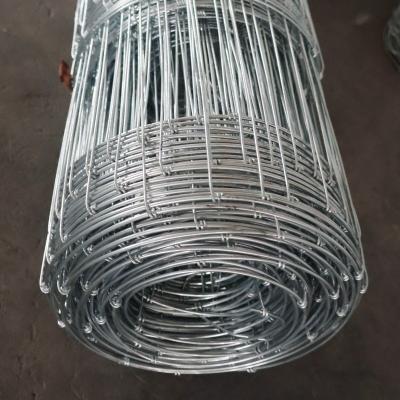 China Cercas de campo de gado Galvanizado fio para pastagem de fazenda Cercas de fio de rede à venda