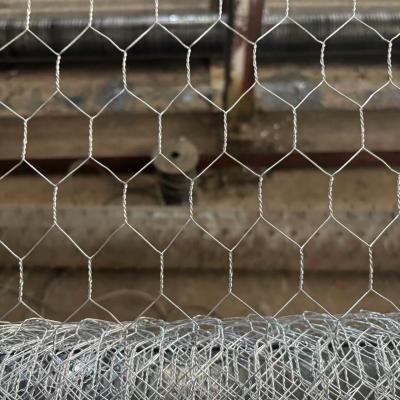 China Animal Husbandrry Galvanized Hex Netting Twist Knitting Hex Wire Fencing for sale
