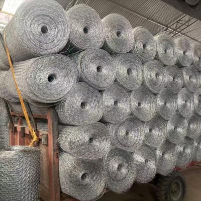 China Dierenhouderschap gegalvaniseerd hex-netten draaien breien hex-draad heksen Te koop