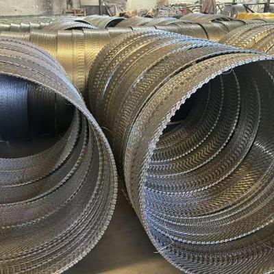 Cina Filo spinato Constantine argentato / Protezione di sicurezza Filo concertina Gi BTO-10 in vendita