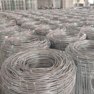 Cina 304 316 Recinzione galvanizzata in acciaio inossidabile resistente agli urti in vendita