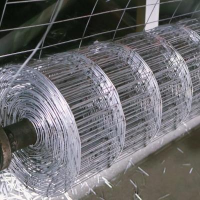 China Construction Stainless Steel Welded Wire Mesh 5-50m Roll For Animal Cage for sale