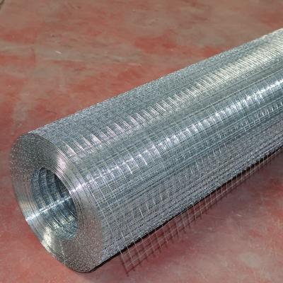 China Construção de aço inoxidável de malha de arame-soldado 5-50m Rolo para gaiola animal à venda