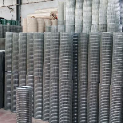 China Construção de aço inoxidável de malha de arame-soldado 5-50m Rolo para gaiola animal à venda