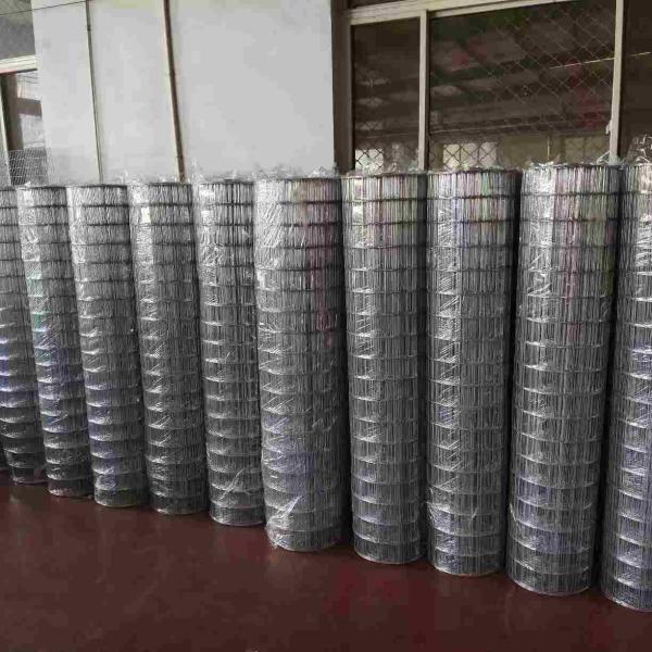 Quality 304 Welded Wire Mesh Is Used For Ranching And Animal Husbandry for sale