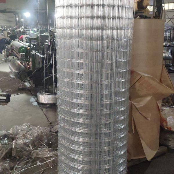 Quality Electro-Galvanized Steel Wire Welded Mesh For Industrial Partition & Reinforcement for sale