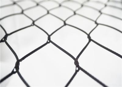 Cina traliccio del cavo di acciaio inossidabile di 4.0mm per le piante rampicanti AISI 316l 100x100mm in vendita