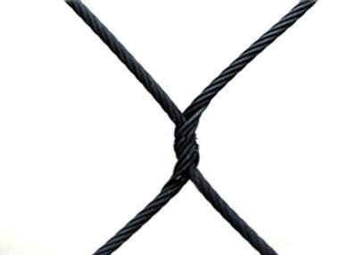 Cina Traliccio del cavo di acciaio inossidabile SUS304/piante verticali di Wire For Climbing del recinto 100mm in vendita