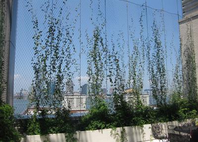 Cina Scalata su ordinazione all'aperto della pianta di Mesh Green Wall Cable Network della corda di acciaio inossidabile di Decortaive 3.0mm in vendita