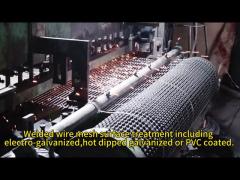 Pays-Bas en PVC revêtu fil de ferraille soudé Maillage de clôture de poulet Coop soudé cage de lapin