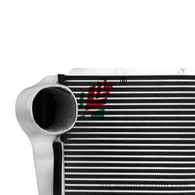 Cina Neoplan Grandi radiatori Intercooler Assemblaggio di alluminio Motore di auto passeggeri Sistema di raffreddamento Serbatoio dell'acqua in vendita