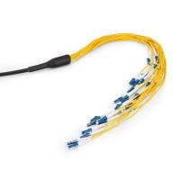 China Singlemode Fiber Optic Patch Cord 0.1m-100m Custom Length for Wireless LAN Network for sale