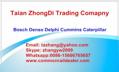 China DENSO common rail fuel injector 095000-5230 for sale