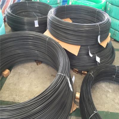 Cina Recinzione AISI Standard laminato a caldo Acciaio Wire Rod 5.5mm 6.5mm 8mm 10mm 12mm per il vostro in vendita