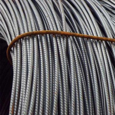 Cina Armature di acciaio CFR in fasci 6/8/10/12/16/20 mm laminate a caldo in vendita