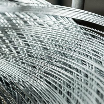Cina Tecnica filo di ferro Bwg20 Bwg21 Bwg22 filo galvanizzato diametro 0,7 4 mm SAE1006/SAE1008 in vendita