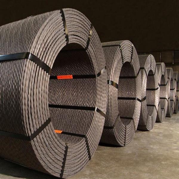 Quality Stainless Steel Wire Rope 1*7 7*7 1*19 7*19 6*12 6*19 FC Iwrc Galvanized for sale