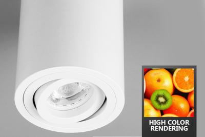 Cina La superficie rotonda del soffitto nero ha montato Downlight regolabile per la sala d'esposizione in vendita
