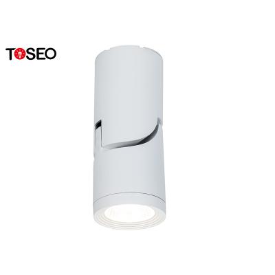 China Black Surface Mounted Adjustable LED Spotlights 11W For Restaurant for sale