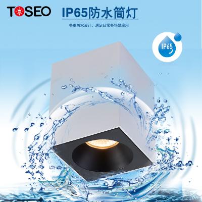 Cina Di superficie impermeabile di progetto Ip65 Downlight dell'hotel Gu10 montato in vendita