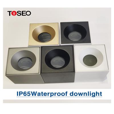 Cina Riflettore di alluminio montato di superficie impermeabile di Ip65 Downlight 8W 240V in vendita