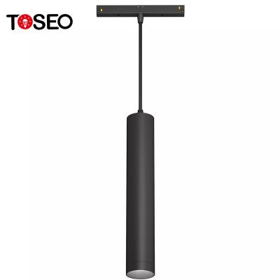 Cina 7W 4 Wires Surface Mounted Magnetic Track Spotlight For Bathroom in vendita