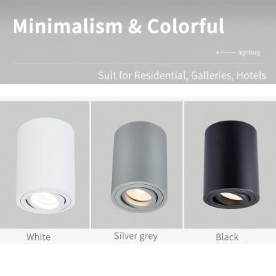 Cina La superficie rotonda del soffitto nero ha montato Downlight regolabile per la sala d'esposizione in vendita
