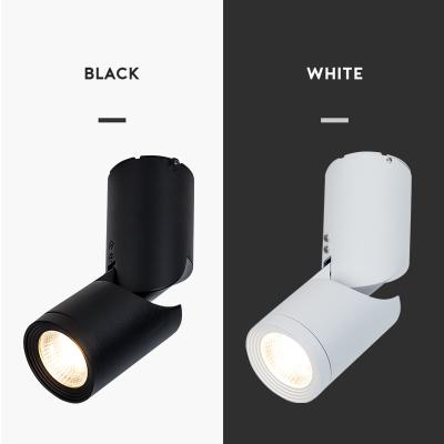 Cina COB 220V Ceiling Cylinder Surface Mounted Downlight For Showroom in vendita