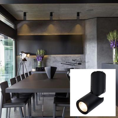 Cina COB 220V Ceiling Cylinder Surface Mounted Downlight For Showroom in vendita