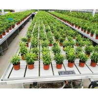 China Ebb And Flow Vertical Grow Rack System Rolling Bench Flood Table for sale