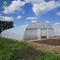 China Automatic Ventilation System High Arch Poly Tunnel Greenhouse With Insect Nets for sale