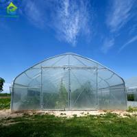 China Automatic Ventilation System High Arch Poly Tunnel Greenhouse With Insect Nets for sale