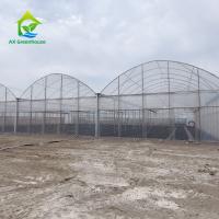 China Multiple Span Plastic Greenhouse With Whole Systems for sale