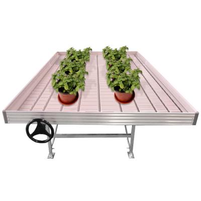 China Ebb Flow Hydroponic Soilless Culture Rolling Bench Grow Table Seedling Seedbed for sale
