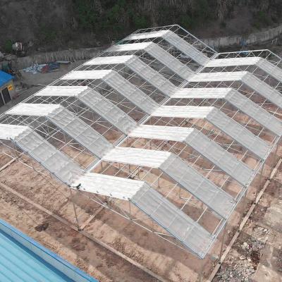 China Hot Galvanized Steel Structure Retractable Greenhouse for Tomato Growing 20-200m Length for sale