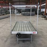 China Ebb And Flow 4FT*8FT Vertical Hydroponic Movable Rolling Bench Grow Table With Pole for sale